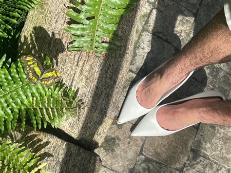 Feet So Arched You Can Literally See Them In My Shoes R Hairygirlsfeet