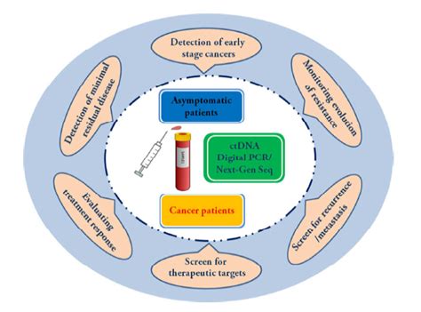 The Feasibility Of Using Mutation Detection In Ctdna To Assess Tumor Dynamics Exosome Rna