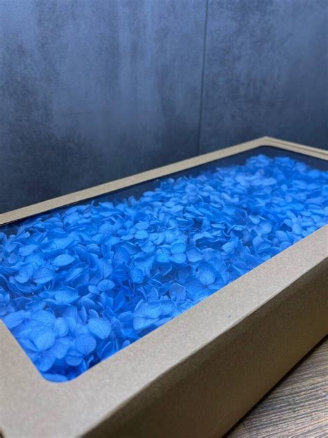 Стабілізована гортензія упаковка 100 г колір Блакитний купити ціна у Києві Львові Одесі