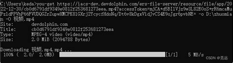 Python—you Get下载工具、wget下载工具python Wget下载视频 Csdn博客