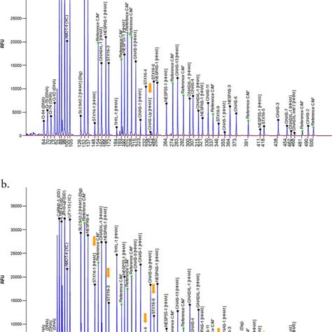 Results Of Methylation Specific Multiplex Ligation Dependent Probe