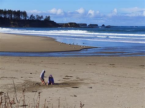 Beaches And Parks Bay Area Chamber Of Commerce Coos Bay North Bend