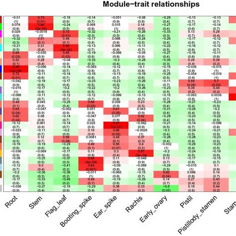 heatmap of module trait relationships each row in the heatmap