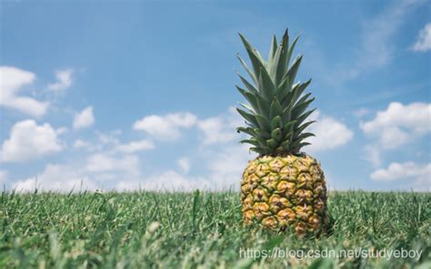 颜色查找表lut Csdn博客