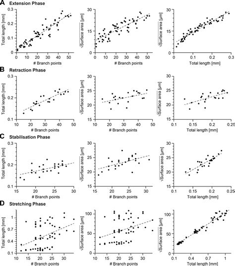 Figures And Data In Achieving Functional Neuronal Dendrite Structure