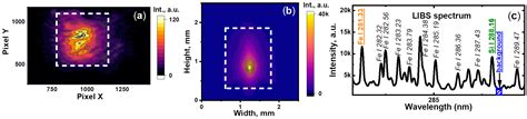non gaussian signal statistics impact on libs analysis