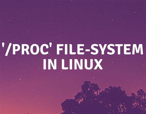 جی بلاگ راهنمای سیستم فایل proc در لینوکس