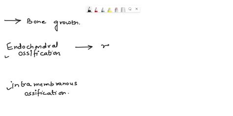 Solved Texts Human Anatomy And Physiology Mail Reina Bone Collar Primary Ossification