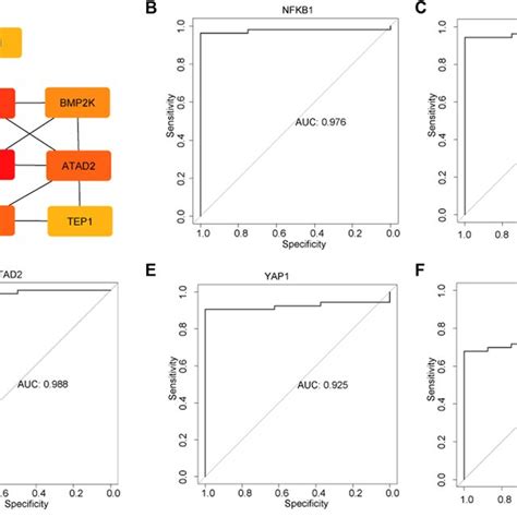 Identification Of Hub Genes And The Evaluation The Diagnostic Value Of