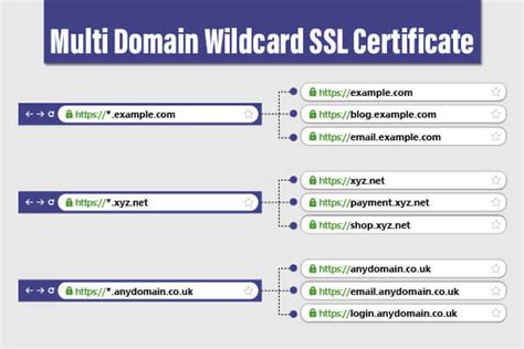 Best Cheap Multi Domain Wildcard Ssl Certificate Providers In 2023