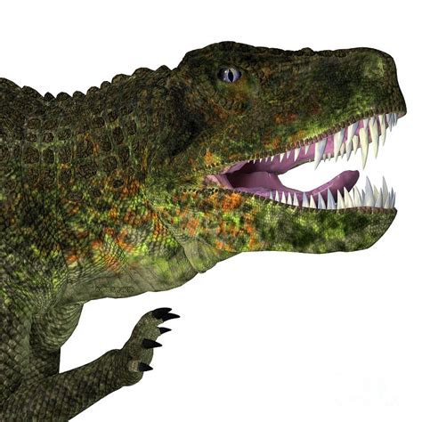 Postosuchus Reptile Head Digital Art By Corey Ford Pixels