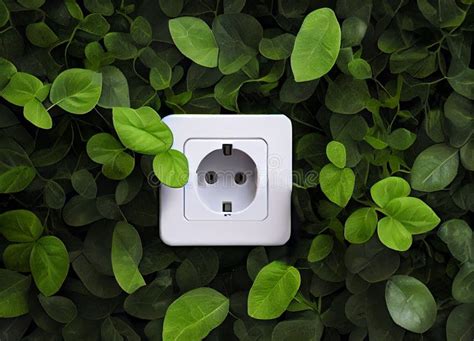 Green Electric Power Socket With Fresh Leaves Renewable And Saving
