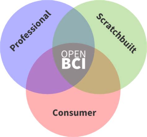 Getting Started With Openbci A Comprehensive Tutorial — The Autodidacts