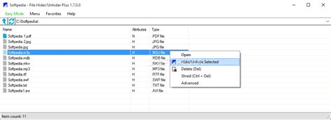 File Hider Unhider Plus Download Softpedia