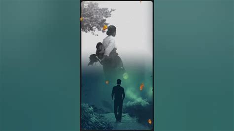 울엄니 안동댁 가수 차효 린 Youtube