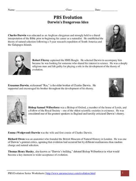 Fillable Online Pbs Evolution Mr Hueston Fax Email Print Pdffiller