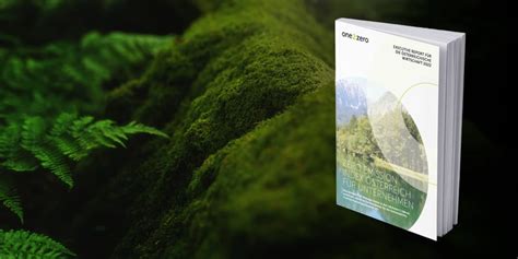 Neoom Builds Decentralized And Future Proof Energy Systems