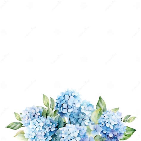 Border With Watercolor Blue Hydrangea Floral Decor Design Stock