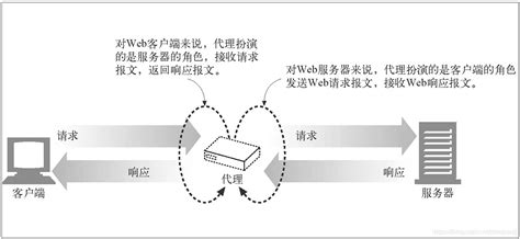 代理 And 代理原理 And 反向代理反向代理的原理 Mapping Client Csdn博客
