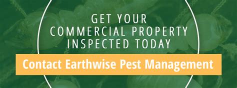 The Most Common Places To Find Pests In Retail Stores Earthwise Pest