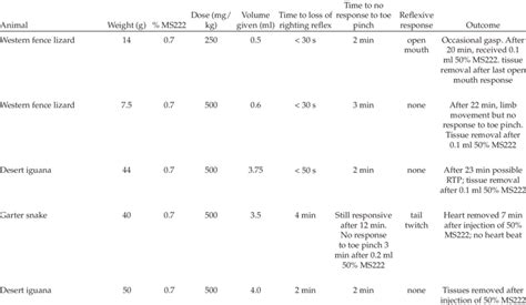 Response Of 5 Reptiles To Intracoelomic Injection Of 0 7 Buffered Ms222 Download Table