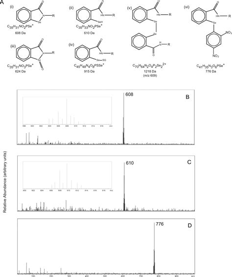 Synthesis And Characterization Of A Triphenylphosphonium Conjugated