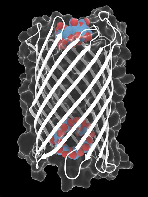 Ucsf Chimerax Example Images