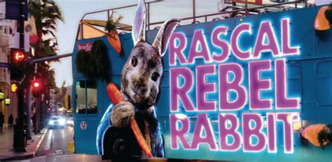 How I Got The Job Moshe Gil Massivit