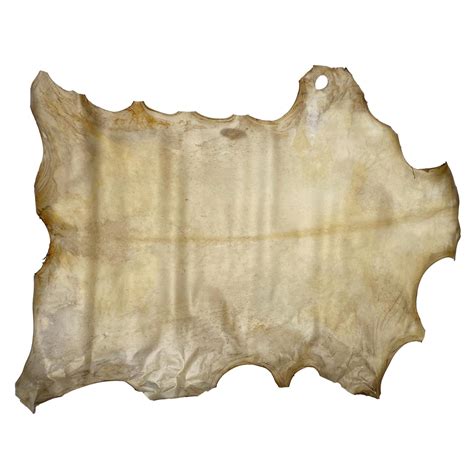 Exotic Leathers — Leather Unlimited