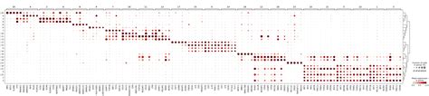Cell Type Annotation And Visualization Single Cell Transcriptomics