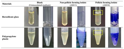 Characterisation Of Pellicle Forming Ability In Clinical Carbapenem Resistant Acinetobacter