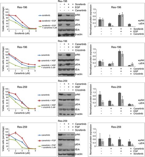 Combined Rtk Treatment Can Overcome Growth Factor Driven Rescue Cell