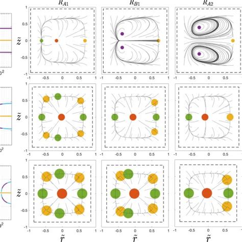 Particle Equilibria At Different Constant Bend Radii˜rradii˜ Radii˜r Download Scientific
