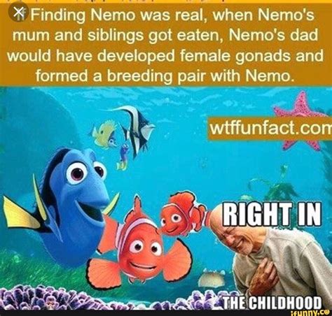 1 Finding Nemo Was Real When Nemos Mum And Siblings Got Eaten Nemos Dad Would Have