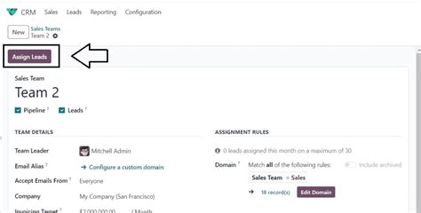 How To Periodically Assign Leads Based On Rules In Odoo 17 Crm