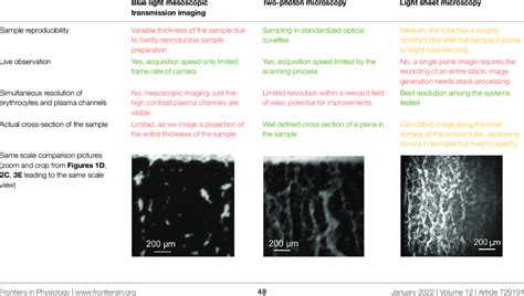 Comparison Of The Imaging Techniques Download Scientific Diagram