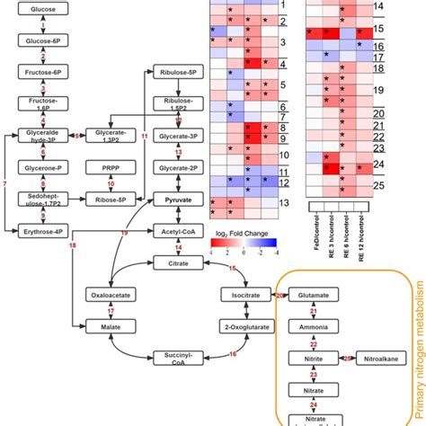 Transcriptome Analysis A Experimental Design And Root Sampling Time