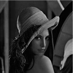 Gamma correction example left right γ γ γ γ Download Scientific Diagram