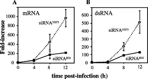 Rotavirus Nonstructural Protein Nsp3 Is Not Required For Viral Protein