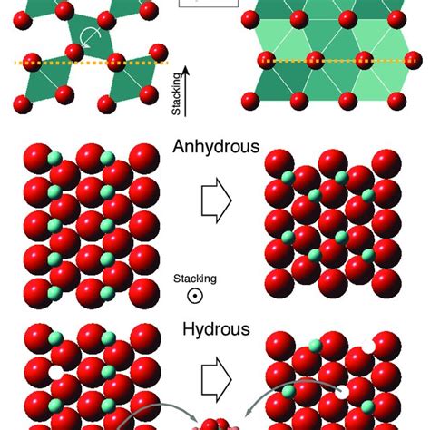 Effect Of H 2 O On The Crystal Structure Of Dense Silica Polymorphs