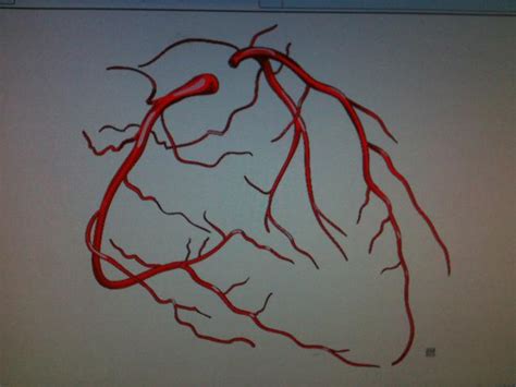 Are You An Ecg Instructor Ecg Guru Instructor Resources