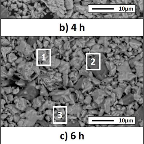 Sem Micrographs Of The Surface Left And Powders Right Of The