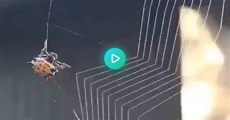 With Sound Album On Imgur With Sound Album On Imgur