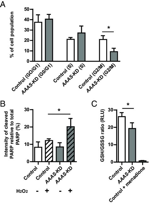 Cell Cycle Arrest Increased Apoptosis And An Imbalance Of Redox