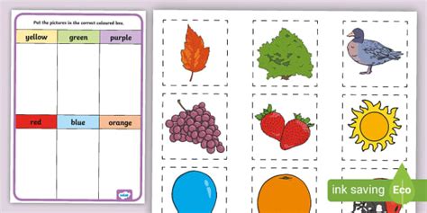Colour Sorting Activity Sheet Teacher Made Twinkl