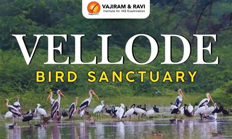 Vellode Bird Sanctuary Location Fauna Flora Latest News