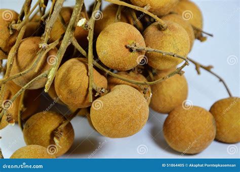Longan Fruit Thai Fruit Stock Image Image Of Supply 51864405