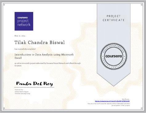 Coursera Certificate Data Analysis Using Excel Project Completion