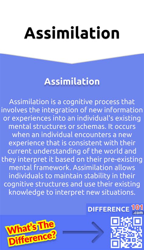 Assimilation Accommodation Key Differences Pros Cons 51 Off
