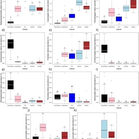 Barplot Showing The Relative Abundance Of The Most Abundant Bacterial Download Scientific